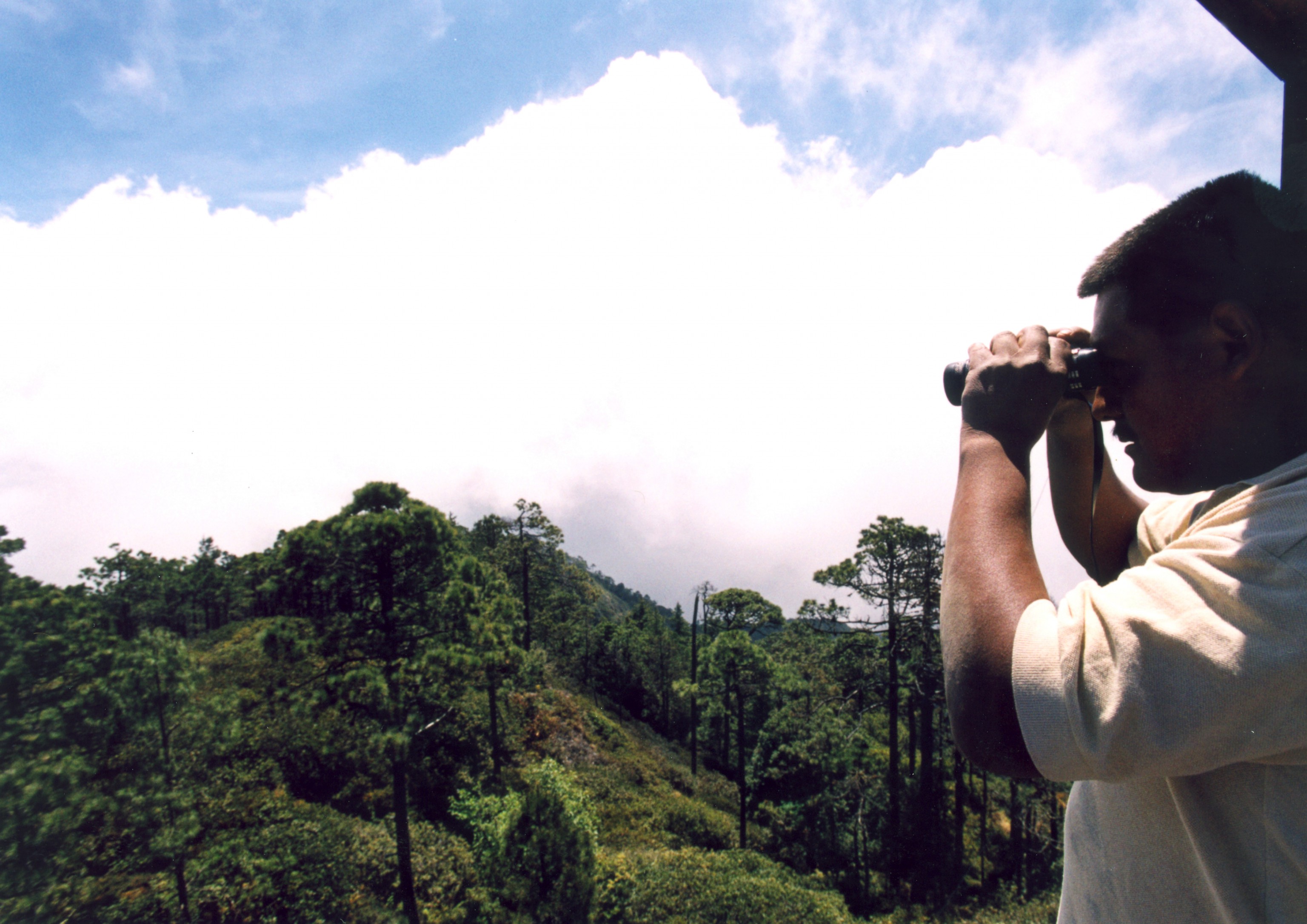 提交FSC认证产品进行纤维测试的流程 | Forest Stewardship Council
