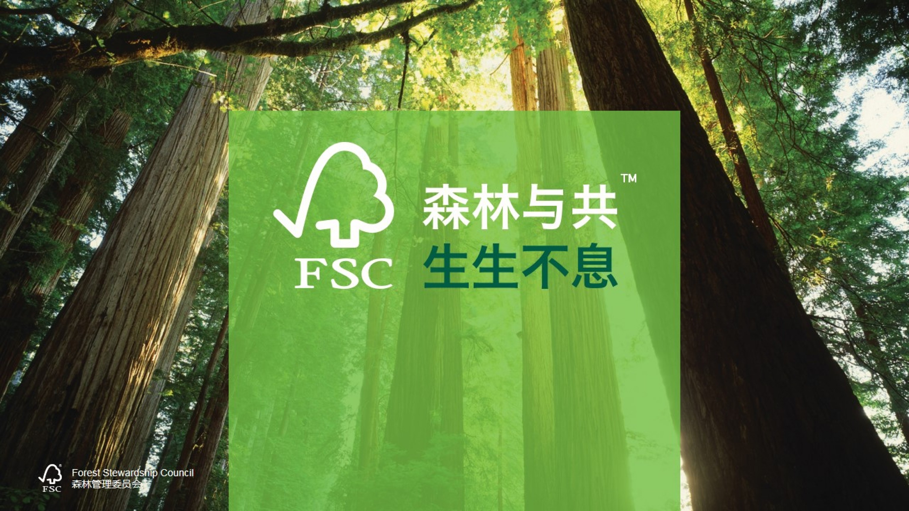FSC中国推出介绍短片 | Forest Stewardship Council