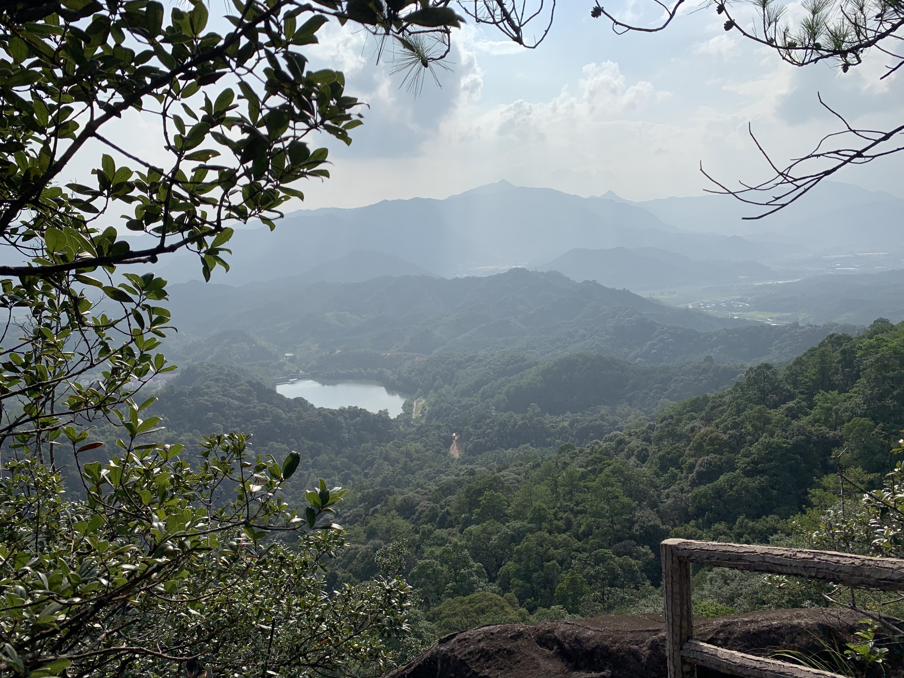 FSC_newsentry_1631505817_image.jpg | Forest Stewardship Council