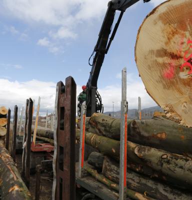 获得认证 | Forest Stewardship Council